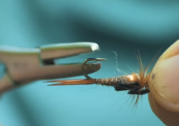 Barbed Vs Barbless Hooks: This Is What To Know