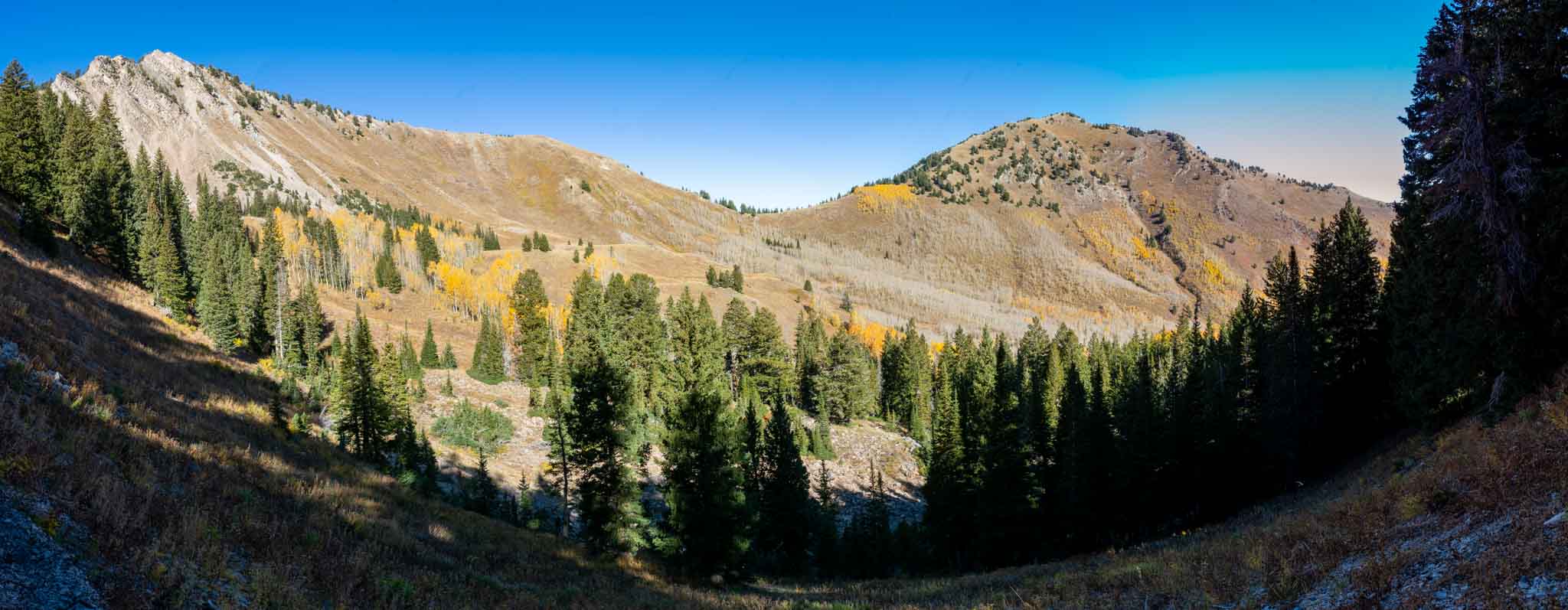 Hiking Mount Raymond, Utah - Trail Map, Pictures & More