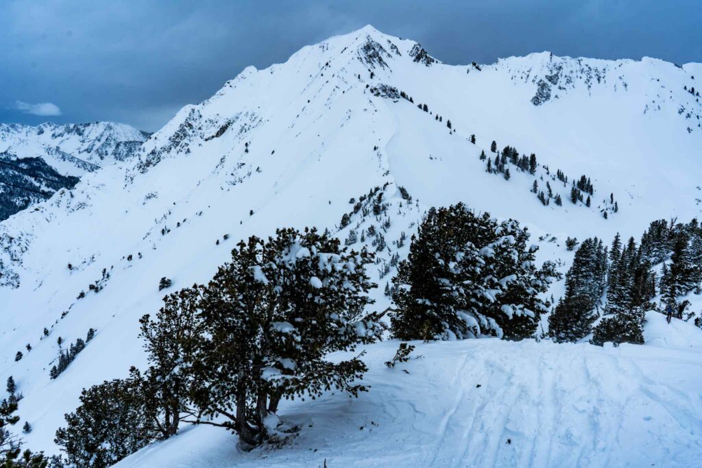 Skiing Mount Superior - An Iconic Utah Line
