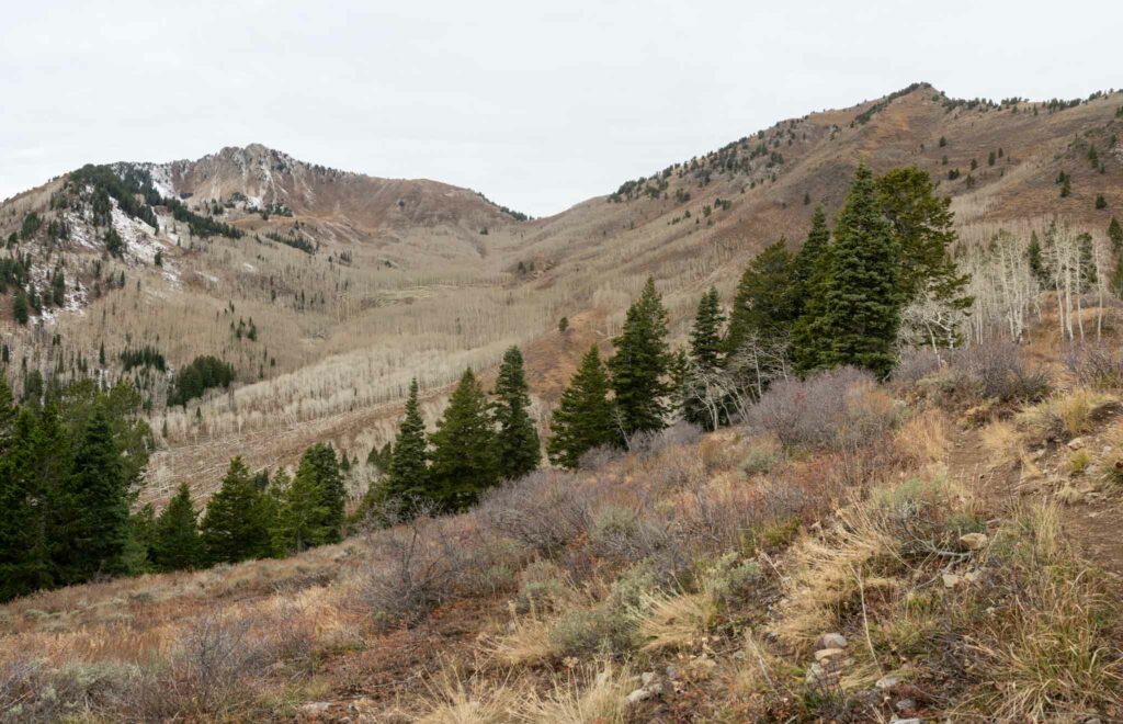 Hiking Mount Raymond, Utah - Trail Map, Pictures & More